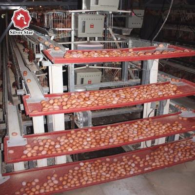 China Hot-Dip Galvanized 3 Tiers A-Type Layer Battery Cage System with Automatic Egg Collecting for Poultry Farming for sale