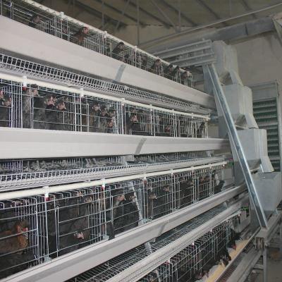 China A Type Layer Chicken Cage System - 3 Tier / 4 Tier Hot-Dip Galvanized Battery Chicken Cage with Automatic Feeding & Egg Collection for sale