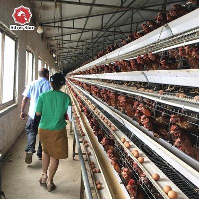 China Fully Automatic Hot Galvanized 160 Birds Battery Chicken Cage Layer Chicken Cage Poultry Equipment for sale