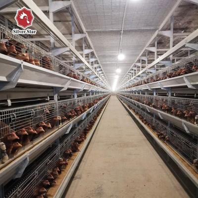 China Fully Automatic H-Type Layer Battery Cage System 1800x1000mm 3-4 Tiers for 20000-100000 Birds for sale