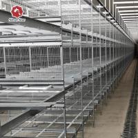 China Hot Galvanized H Type Layer Cage with Automatic Feeding for Large Poultry Farm Projects for sale