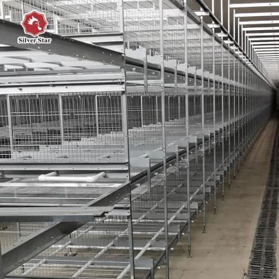 China H Type Automatic Layer Chicken Cage 4 Tier 72 Birds Hot Dipped Galvanized Poultry Equipment for sale