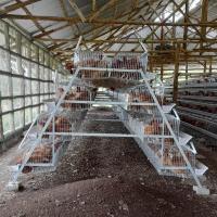 China Automatic Egg Laying Battery Chicken Cage 3 4 Tiers for 120 Chickens Poultry Farm Cage for sale