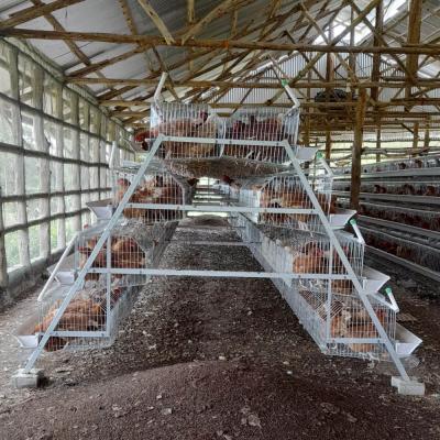 China Automatic Egg Laying Battery Chicken Cage 3 4 Tiers for 120 Chickens Poultry Farm Cage for sale