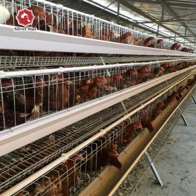 China Hot-Dip Galvanized A-Type Broiler Battery Cage System 3-Tier 1840mm for Poultry Farm for sale
