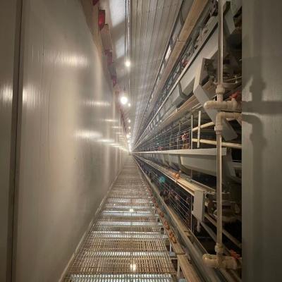 China Hot-Dip Galvanized H-Type Layer Battery Chicken Cage with Automatic Feeding for Large Poultry Farm Projects for sale