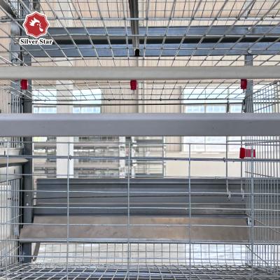 China High-Density H-Type Automatic Layer Battery Cages | 3-8 Tiers Turnkey Poultry Farm Equipment for sale
