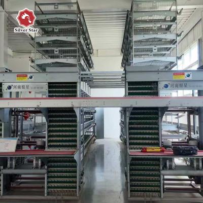 China H-Type Automatic Layer Battery Cage System with Hot-Dip Galvanized Steel for Automated Egg Collection and 15-20 Years Service Life for sale