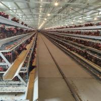 China A-type Layer Chicken Cage with Automatic Feeding System and Long Lasting Corrosion Resistance for Space Utilization in Poultry Farms for sale