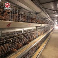 China Automatic A-Type Baby Chick Brooding Cage System with Hot Dip Galvanizing and Automatic Nipple Drinkers for 100-300 Chickens/set for sale