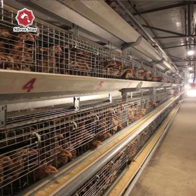 China Automatic A-Type Baby Chick Brooding Cage System with Hot Dip Galvanizing and Automatic Nipple Drinkers for 100-300 Chickens/set for sale