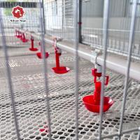 China H Type Broiler Chicken Cage System with 3/4 Tier Hot-Dip Galvanized Soft Plastic Floor for Automatic Broiler Farm Equipment for sale