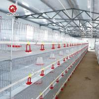 China Automatic A-Type Baby Chick Brooding Cage System with Hot Dip Galvanizing and Automatic Nipple Drinkers for 100-300 Chickens/set for sale