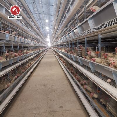 China Automatic H Type Chicken Layer Cage 4 Tier 72 Birds Hot Dip Galvanized Steel Poultry Farming Equipment for sale