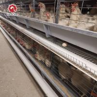 China H-Type Layer Chicken Cage Hot-Dip Galvanized Automatic Feeding Manure Removal System Poultry Farming Equipment for sale