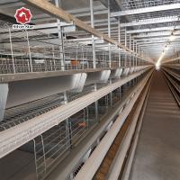 China H Type Layer Chicken Cage 6 Tiers 144 Birds Automatic Feeding Hot Dip Galvanized for Poultry Farm for sale
