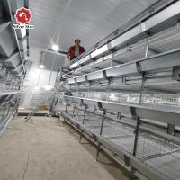 China Hot-dip Galvanized Steel H Type Broiler Chicken Cage with Modular Automatic System and Adjustable Breeding Tiers for sale