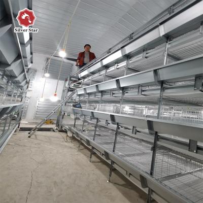 China Hot-dip Galvanized Steel H Type Broiler Chicken Cage with Modular Automatic System and Adjustable Breeding Tiers for sale