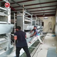 China Hot-dip Galvanized Steel H Type Broiler Chicken Cage with Modular Automatic System and Adjustable Breeding Tiers for sale