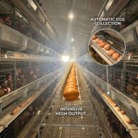 China Customizable 4 Tiers H Type Hot Dip Galvanized Layer Chicken Cage with Ventilated Heavy Duty Structure for sale