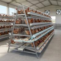 China 5 Tier A Frame Layer Chicken Cage Semi Automatic Egg Collection for Commercial Layer Farm for sale