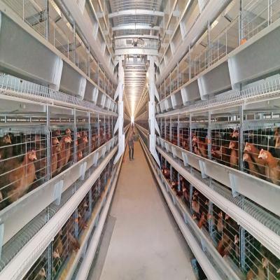 China Q235 Hot Galvanizing Battery Chicken Cage System 3-10 Tiers For Hens for sale