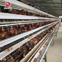 China A Type Layer Egg Laying Chicken Cage 160 Birds With Automatic Feeding System for sale