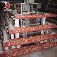 China A Type Layer Egg Laying Chicken Cage 160 Birds With Automatic Feeding System for sale