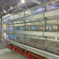 China Hot Galvanized 3/4 Tier Poultry Farm Cage System 1480mm×1750mm×440mm with Full Automation for sale