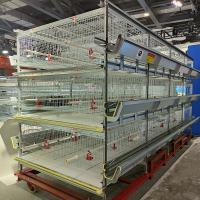 China 3-9 Floor Farm Battery Chicken Cage With Automatic System for sale
