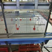 China H Frame Battery Broiler Chicken Cage Hot Galvanized Steel Wire Mesh for sale
