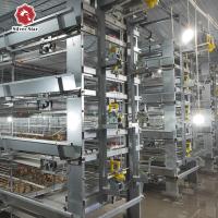 China H-Type 4-Tier Battery Chicks Cage 136 Birds per Set 85×62.5×50 cm Cell Size for sale