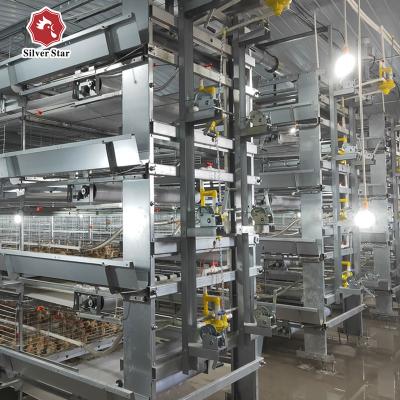 China H Type 180 Birds Broiler Chicken Cage 1800x1200mm Q235A Poultry Farm Equipment for sale