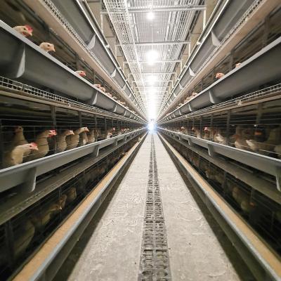China Wire Mesh 60-384 Egg Chicken Cage , HDG Q235 Layer Farming Cage for sale