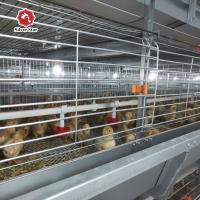 China Poultry Agricultural Products Chicken Layer Cage For Broilers And Chicks for sale
