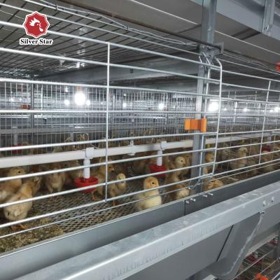 China Hot Galvanized 6 Tier 204 Bird Broiler Chicken Cage H Type Battery System for sale