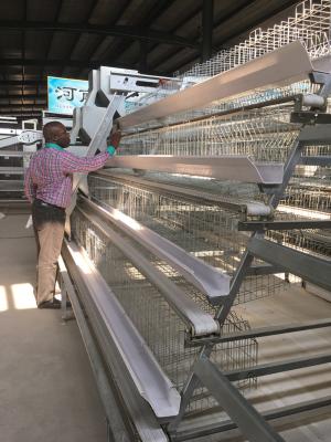 China Poultry Agricultural Products Chicken Layer Cage For Broilers And Chicks for sale