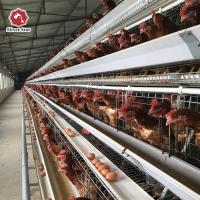 China Wire Mesh 60-384 Egg Chicken Cage , HDG Q235 Layer Farming Cage for sale