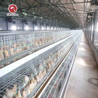 China Wire Mesh 60-384 Egg Chicken Cage , HDG Q235 Layer Farming Cage for sale