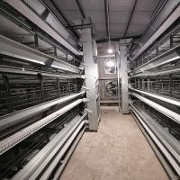 China Layer Chicken Feeding System Galvanized 3-10 Tiers H Type Layer Cage for sale