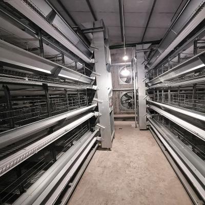 China 380V Automatic Poultry Feeder with 500kg Capacity - Hot Dip Galvanized Chicken Cage Equipment for Layer and Broiler Farms for sale