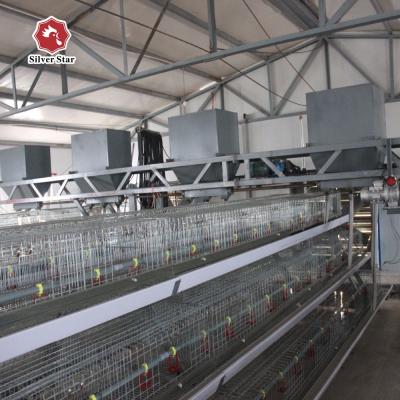 China A-Frame Layer Chicken Cage System 160 Birds Capacity 43x41x41cm Cell Size Galvanized Steel Poultry Equipment for sale