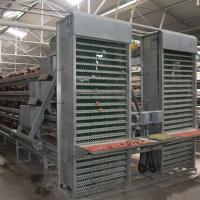 China 4 Layer 2mm Battery Cage Poultry Egg Collection System with ISO9001 Certification for H-Type Laying Hens for sale