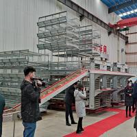 China 4 Layer 2mm Battery Cage Poultry Egg Collection System with ISO9001 Certification for H-Type Laying Hens for sale