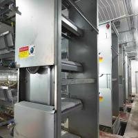 China Automatic Poultry Farm Manure Cleaning Machine 380V 3Phase Belt Scrapper System for sale