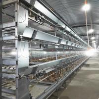China HDG Chicken Cage Equipment , 3 Or 4 Layers Poultry Battery Cage for sale
