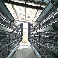 China Galvanized Steel 5 Layers Battery Cage H Type Hens Cage For Egg Chicken for sale