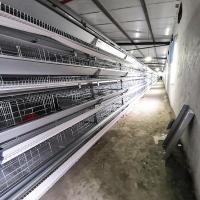 China SGS 90-384 Birds Layer Battery Chicken Cage System 1950x2300x1500mm Hot Galvanized for sale