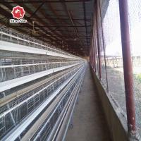 China SGS 90-384 Birds Layer Battery Chicken Cage System 1950x2300x1500mm Hot Galvanized for sale