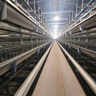 China H-Type 4-Tier Battery Chicken Cage System with Automatic Feeding and 62 Birds/m² Density for Layers and Broilers for sale